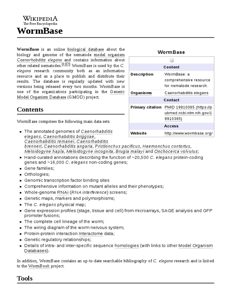 Worm Base | PDF | Biochemistry | Chemistry