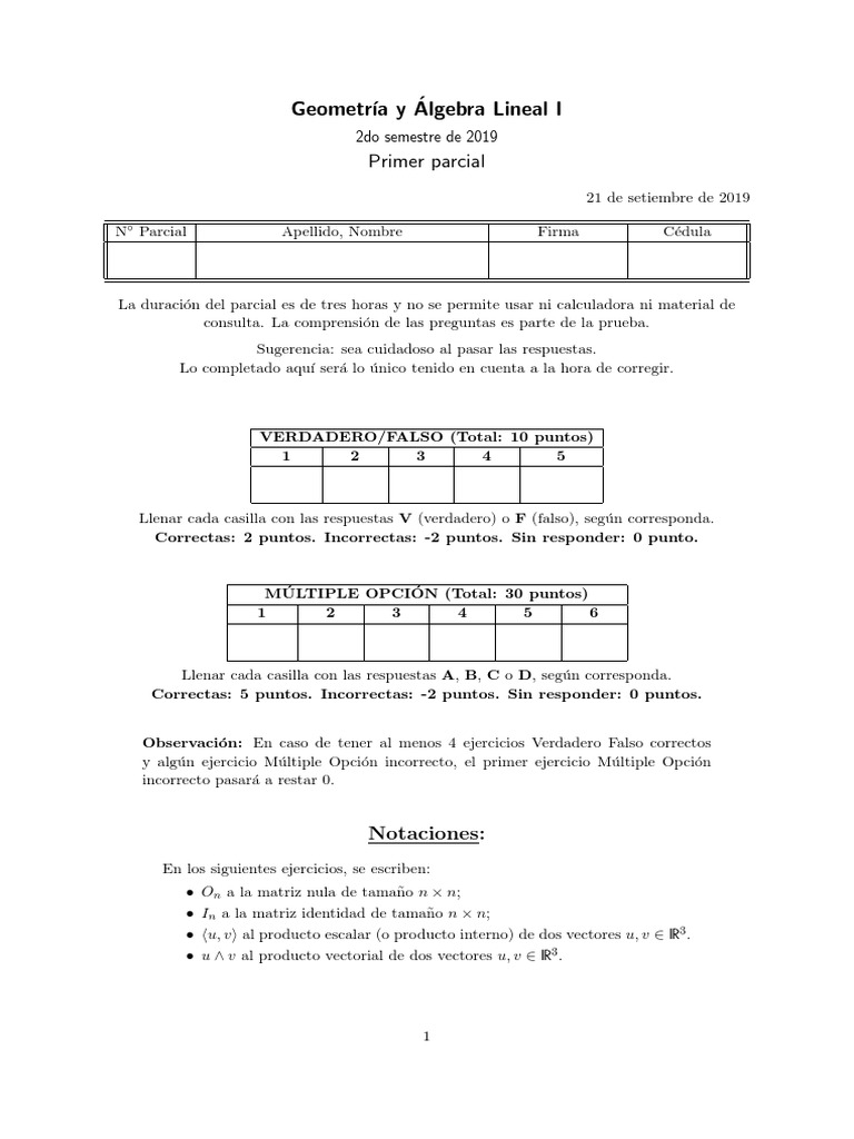 2019 - Segundo Semestre - Letra - Primer Parcial | PDF | Matriz ...