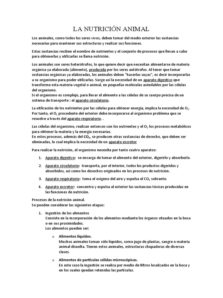 LA NUTRICIÓN ANIMAL | PDF | Digestión | Dieta y nutrición