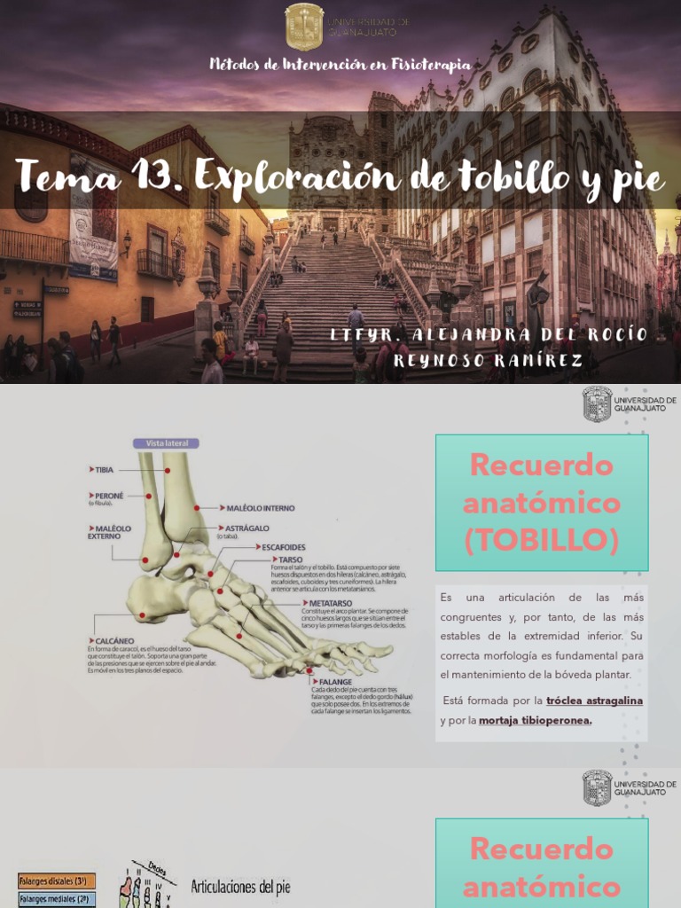 Exploración del Tobillo y Pie | PDF | Tobillo | Pie