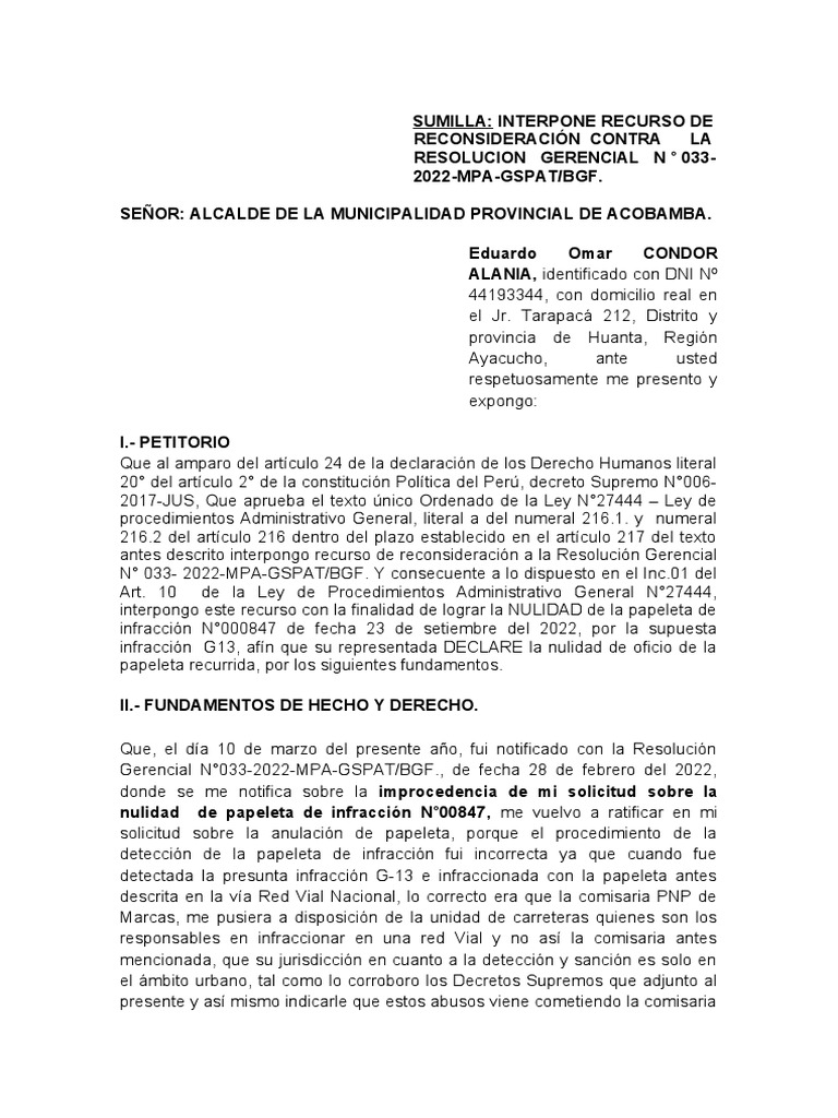 RECURSO DE RECONSIDERACIÓN | PDF | Policía | Gobierno