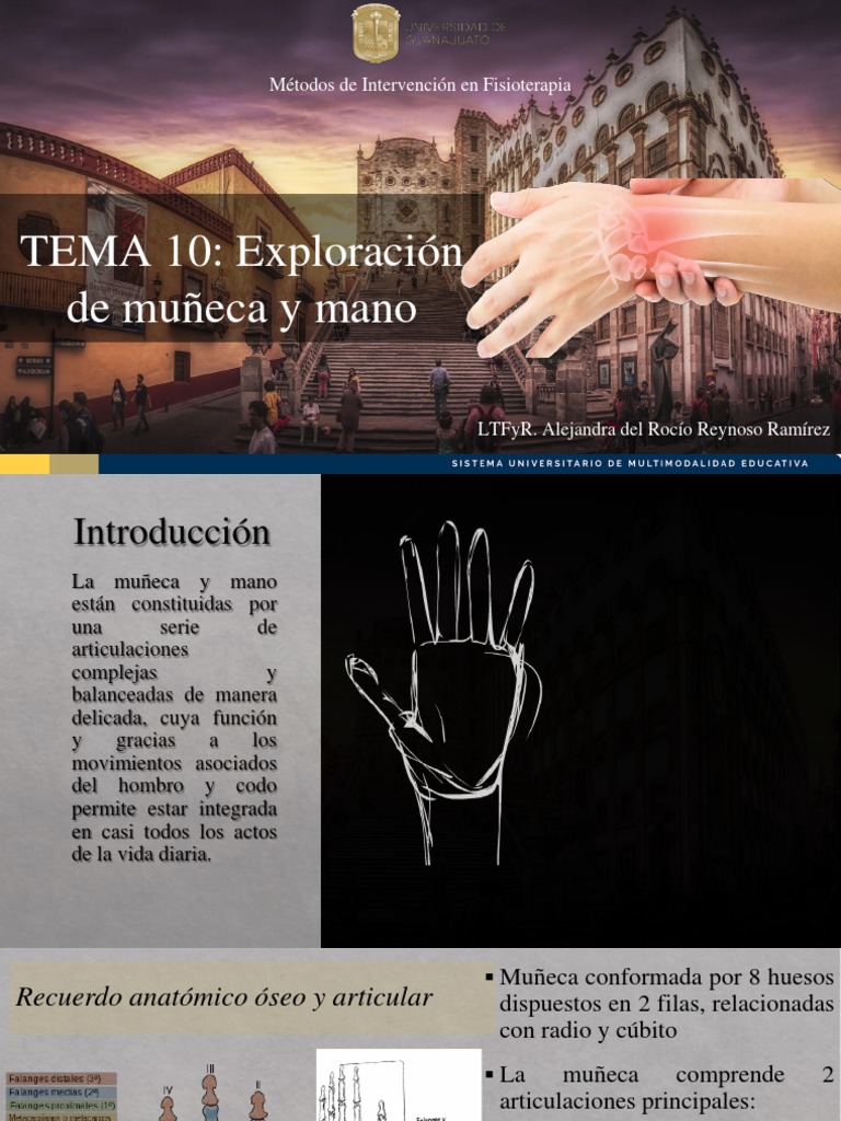 Exploración Muñeca y Mano (Pt.1) | PDF | Mano | Extremidades (anatomía)