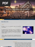 Alicia Del Dolor, para Semiología Al Examen Fisico | PDF | Dolor ...