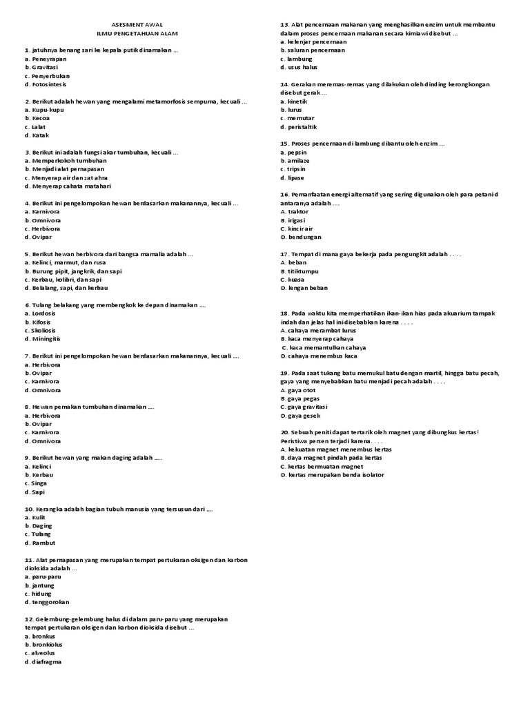 Asesment Awal Ipa | PDF | Dewasa Muda