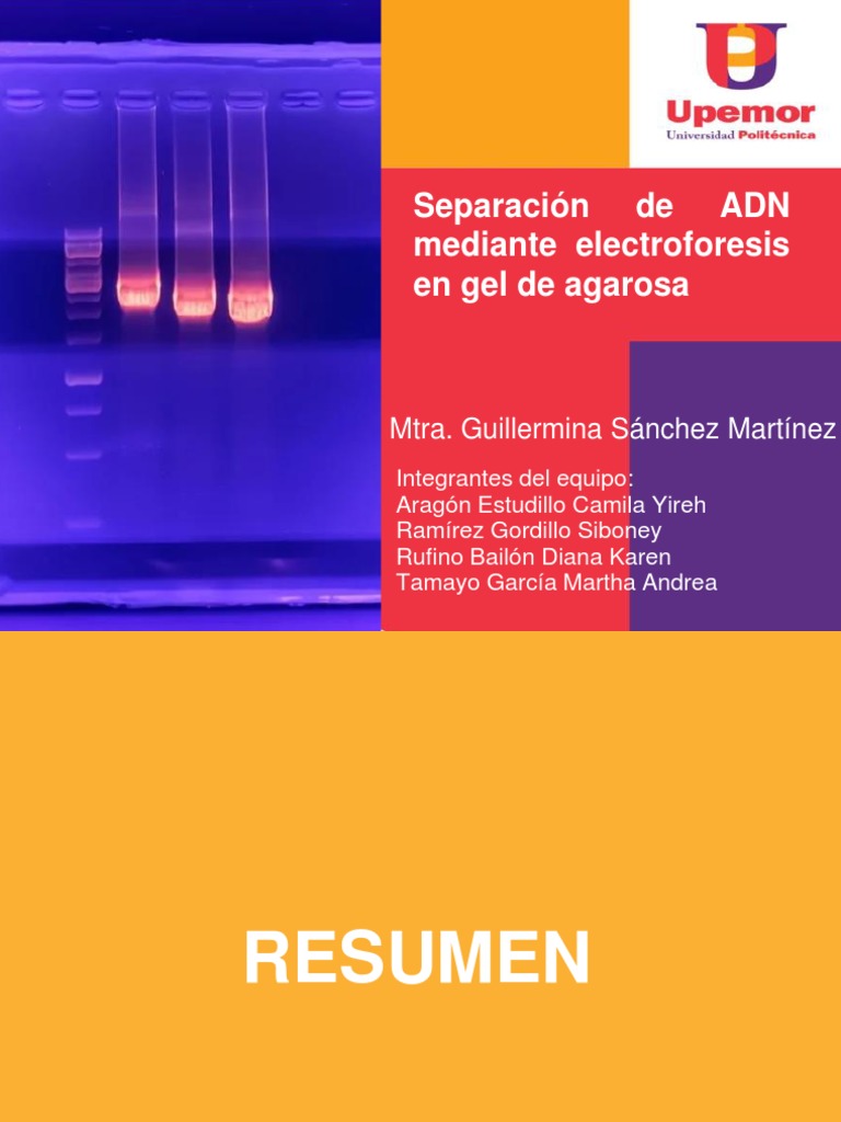 Electroforesis de ADN en Gel de Agarosa | PDF | Adn | Electroforesis
