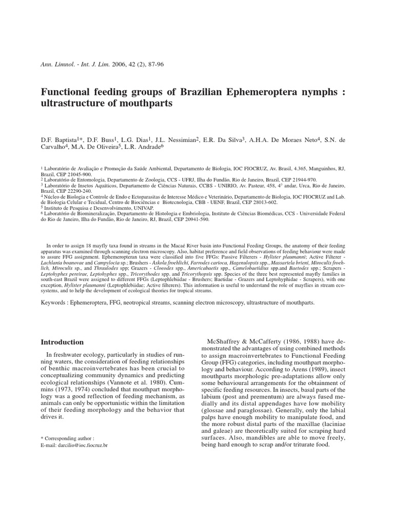 Ephemeroptera蜉蝣 Mayfly P A8 | PDF | Animal Anatomy | Insects