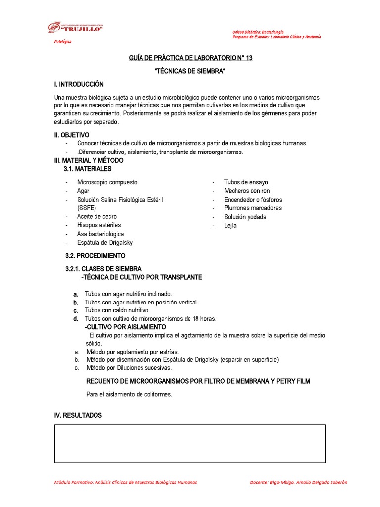 Sa13-Guía de Práctica - Bacteriología | PDF | Microorganismo ...