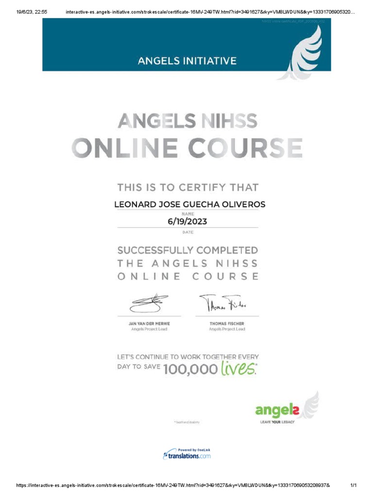 ANGELS NIHSS | PDF
