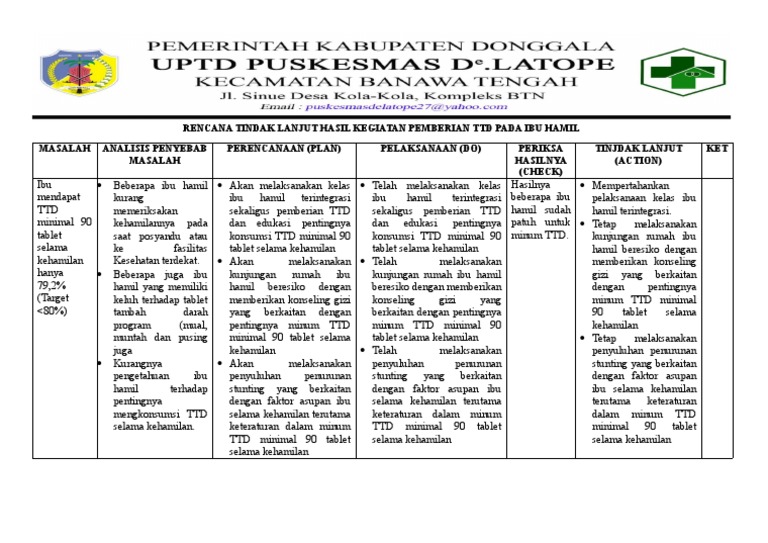 Pdca TTD Bumil | PDF