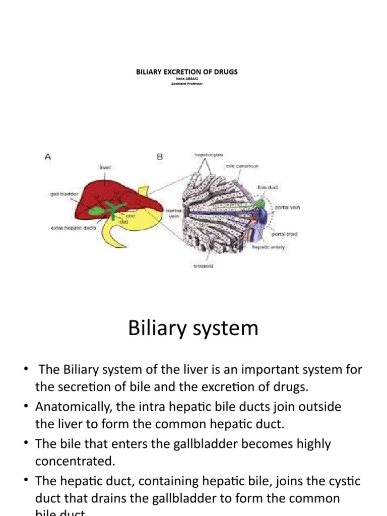 Biliary Excretion of Drugs 2 | PDF | Bile | Liver