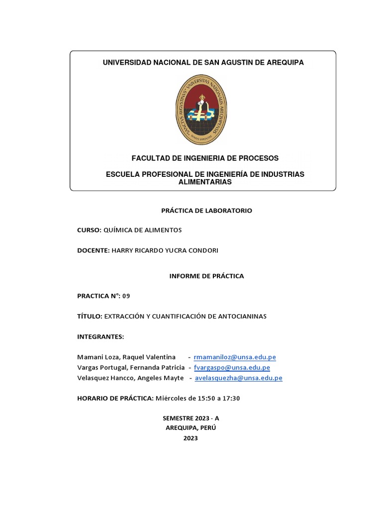 Lab - Qa - Informe 09 | PDF | Ácido | Sal (química)