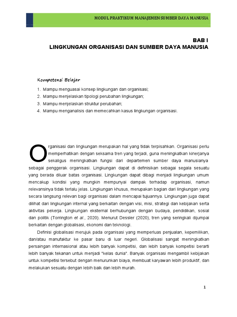 Bab I Lingkungan Organisasi Dan Sumber Daya Manusia | PDF