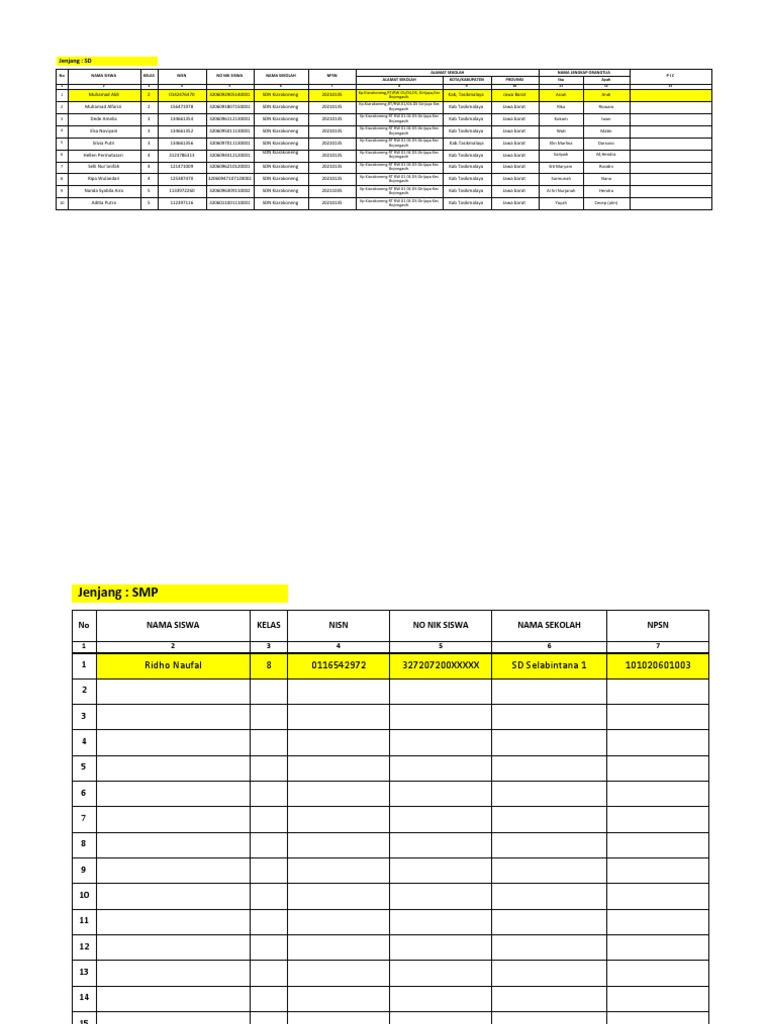 Format Usulan PIP Tahun 2023 | PDF