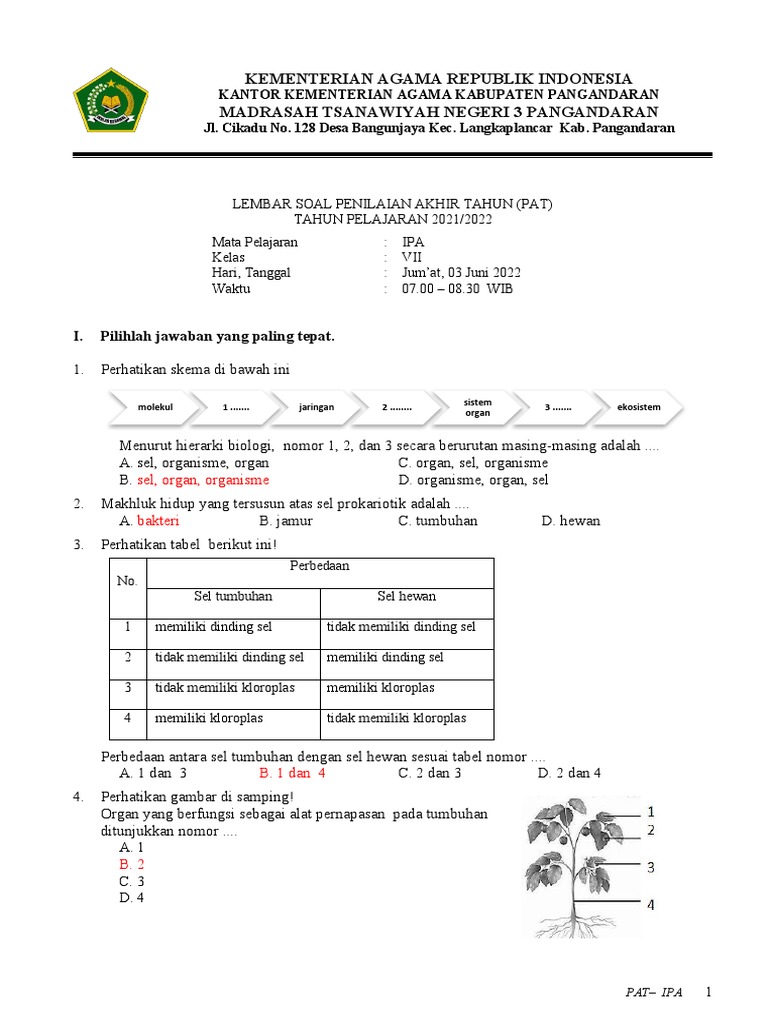 Soal Pat Ipa Kelas 7 2022 | PDF