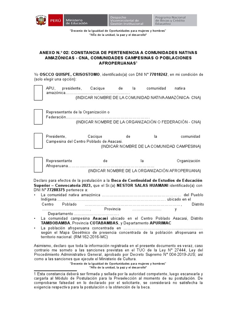 ANEXO N°02 (1) beca 1 | PDF | América del Sur | Gobierno