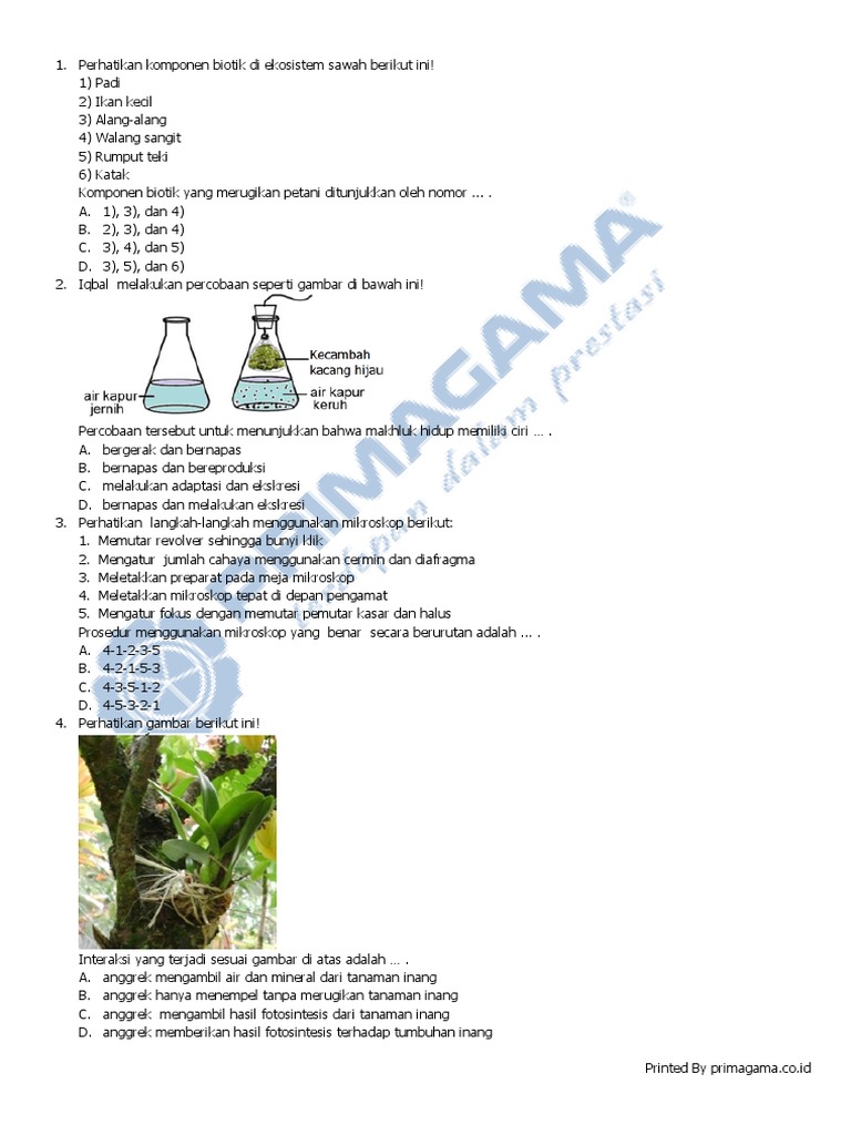 Soal To3 Ipa SMPN 1 | PDF | Kajian Bahasa Asing | Sains & Matematika