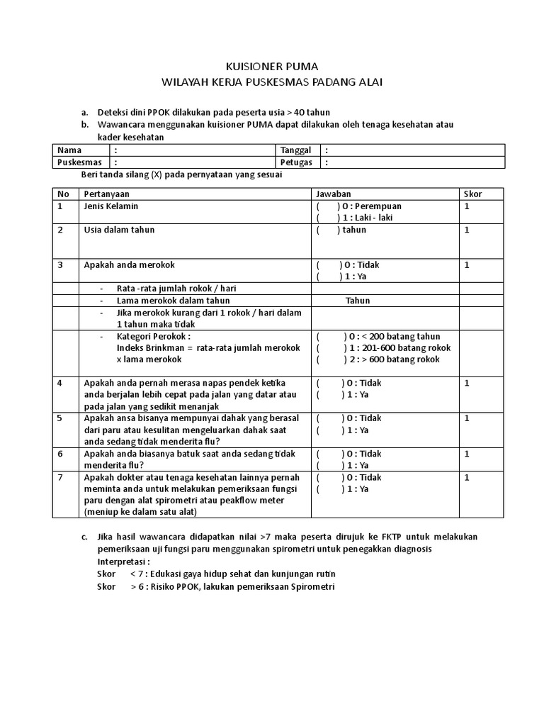 Kuisioner Puma | PDF