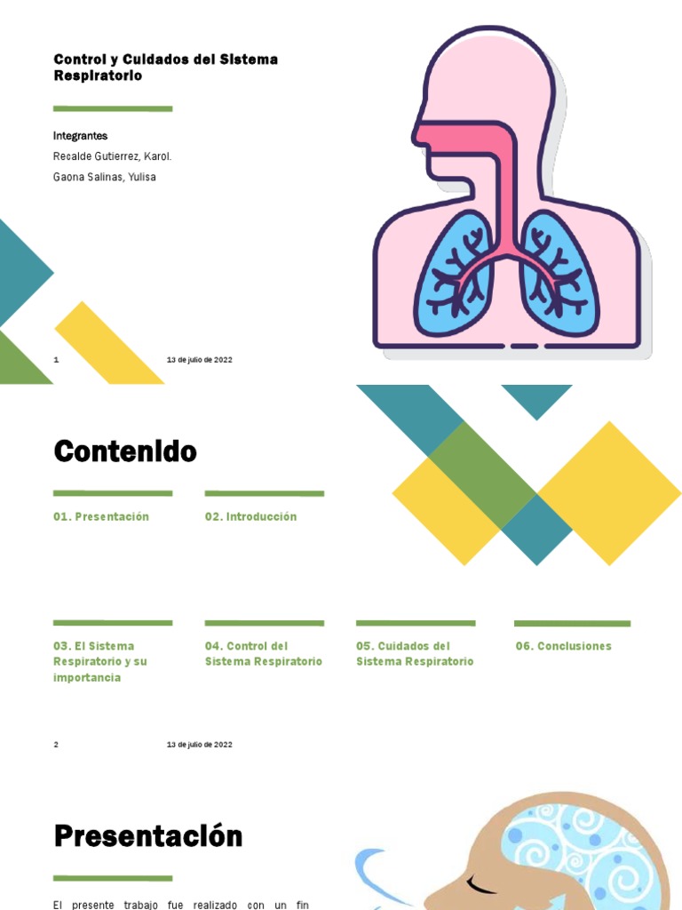 Control y Cuidados Del Sistema Respiratorio | PDF | Sistema ...