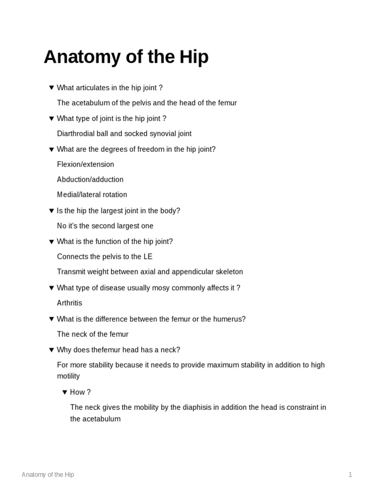 Anatomy of The Hip | Download Free PDF | Hip | Anatomical Terms Of Motion