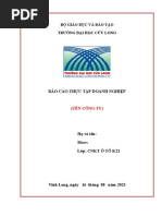 MẪU BÁO CÁO THỰC TẬP DOANH NGHIỆP | PDF