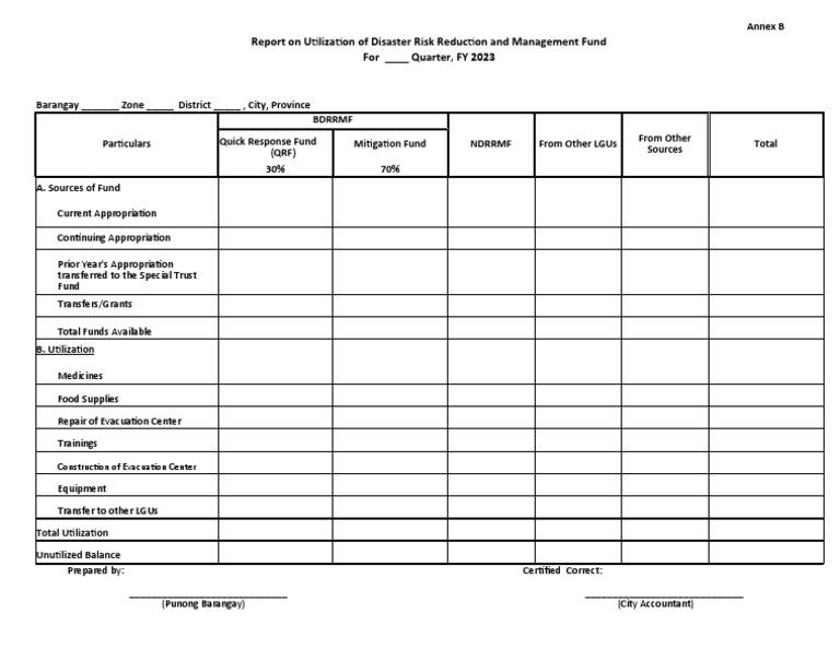 BDRRMP Fund Utilization Report Template | PDF
