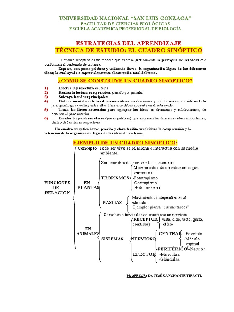 Ffccbb Semana 09 Tema El Cuadro Sinóptico La Tabla Sinóptica 2022 i Vb ...