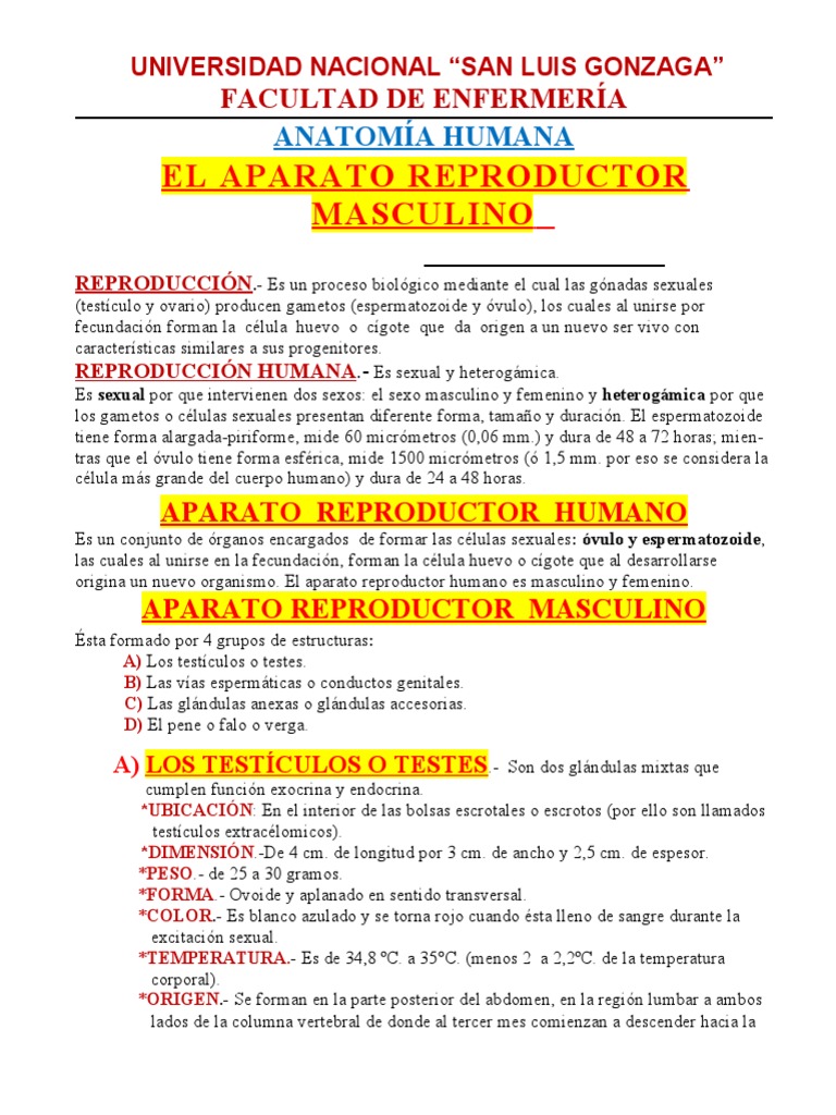FFCCBB Semana 09 Taller Teoría para Elaborar Cuadro Sinóptico Aparato ...