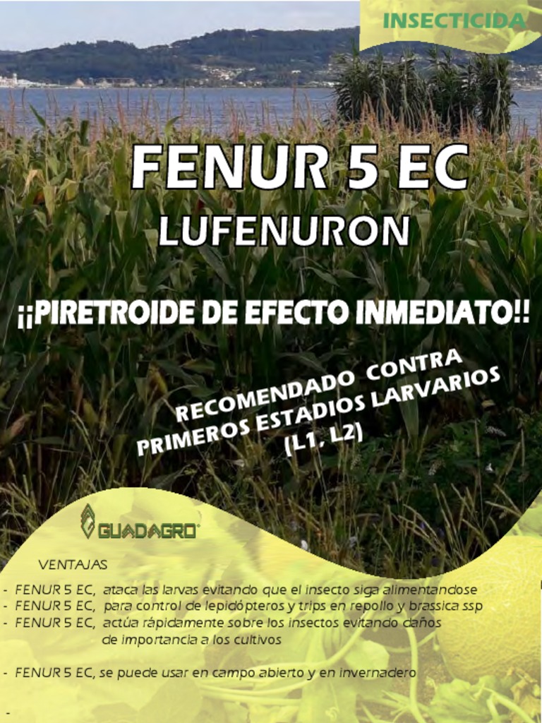 Ficha FENUR Redux 1 | PDF | Insectos