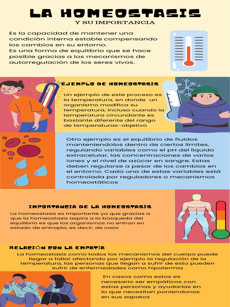 LA HOMEOSTASIS - Infografía | PDF | Salud y bienestar