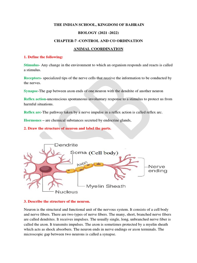 Control and Coordination in Animals - Notes | PDF | Neuron | Stimulus ...