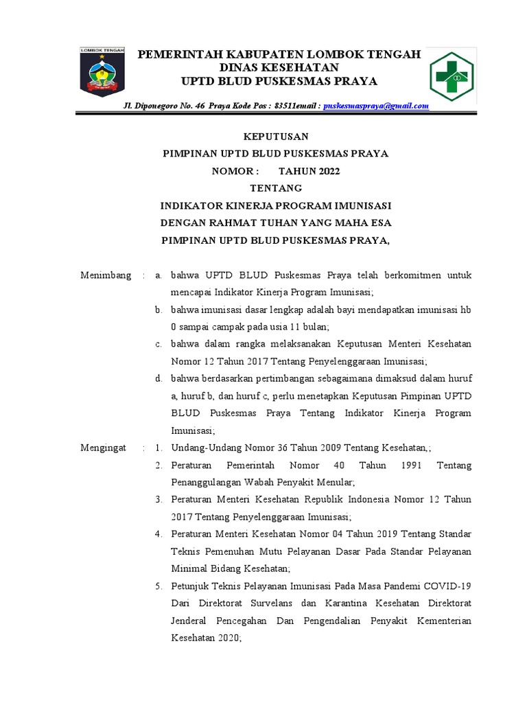 Indikator Kinerja Imunisasi Puskesmas Praya | PDF