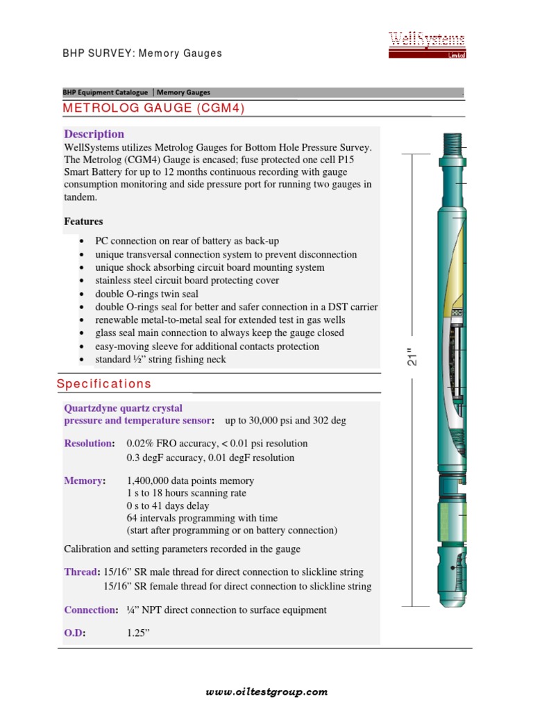 ws-metrolog-gauge-cgm4 | PDF