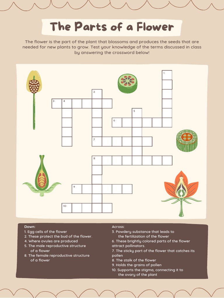 The Parts of A Flower Science Worksheet in Beige Brown Hand Drawn Style ...