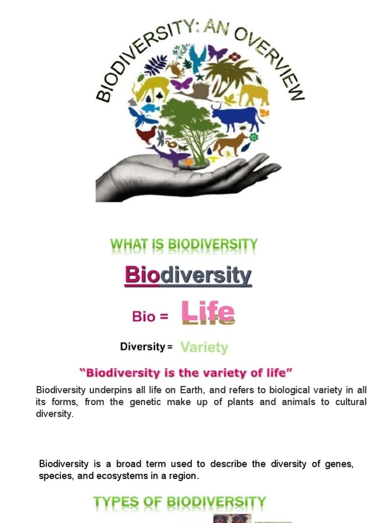 Biodiversity | PDF | Biodiversity | Extinction