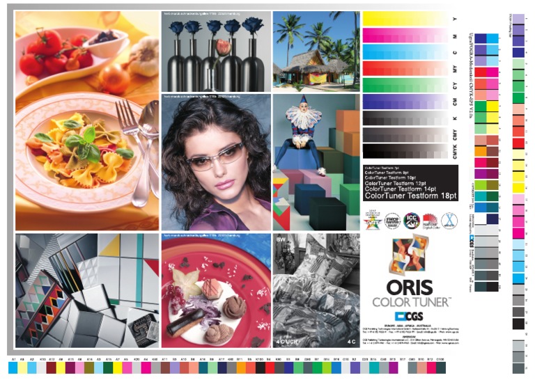 ORIS CT Test Chart 2004 | PDF