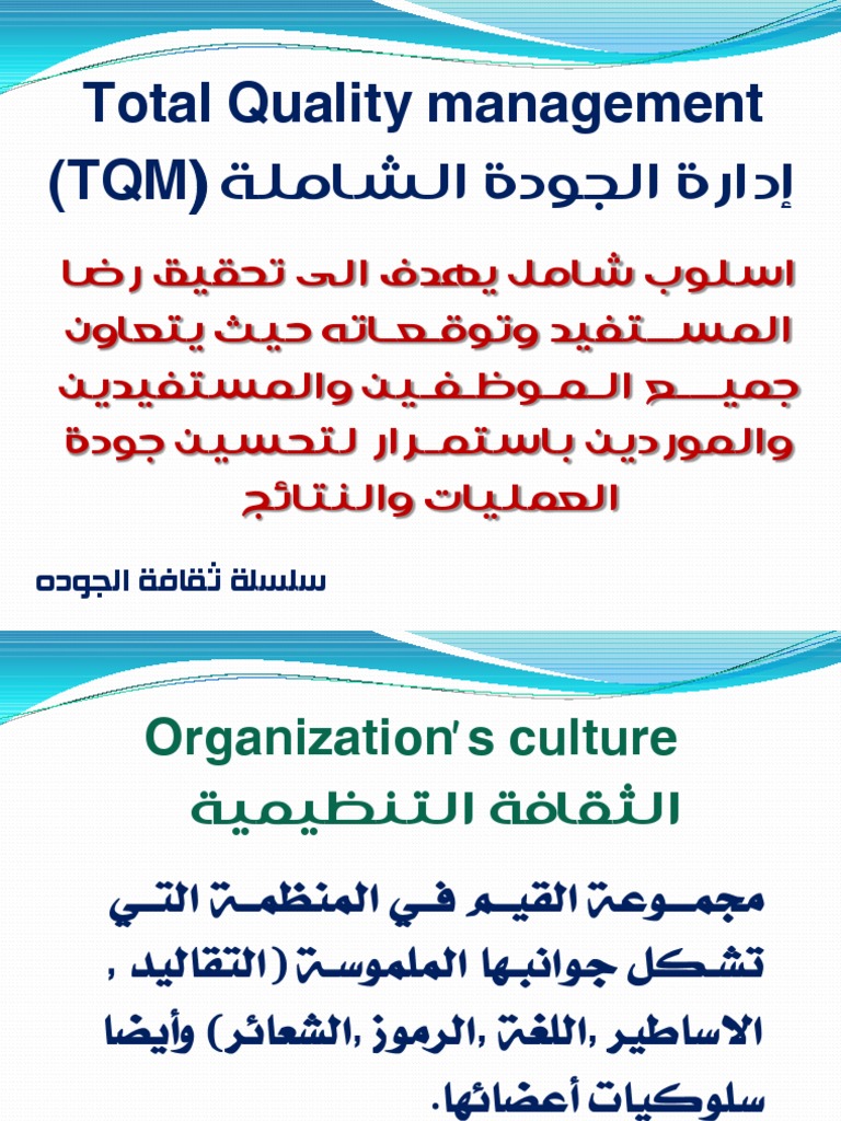 TQM Plan | PDF
