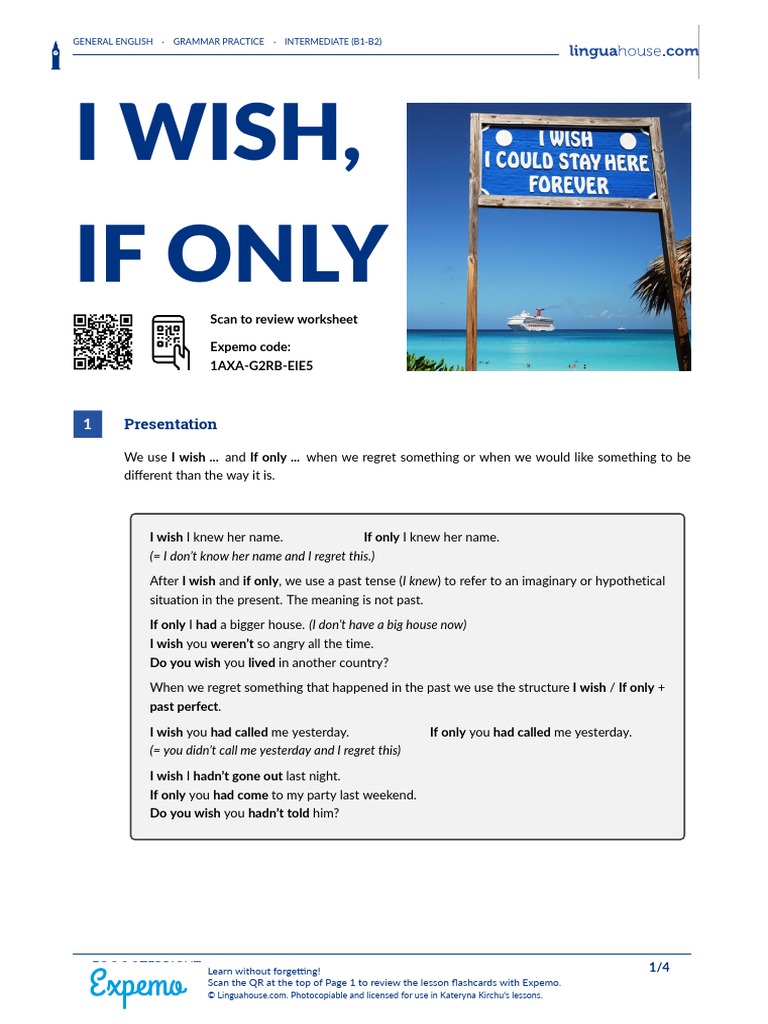 I Wish If Only British English Student | PDF