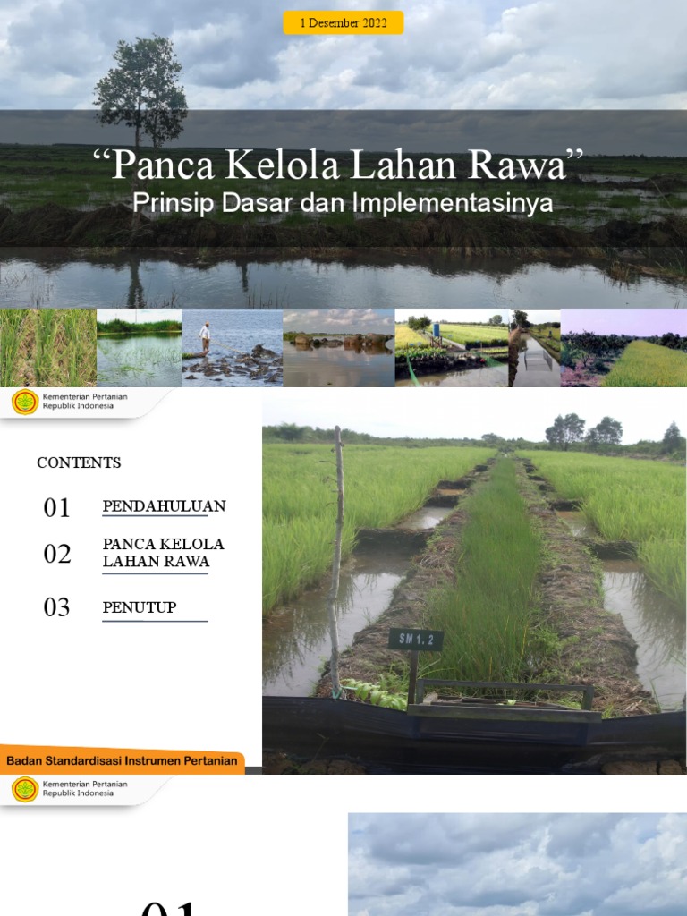 Panca Kelola Lahan Rawa - EDIT - FINAL | PDF