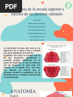 Ángulo de Bennett | PDF