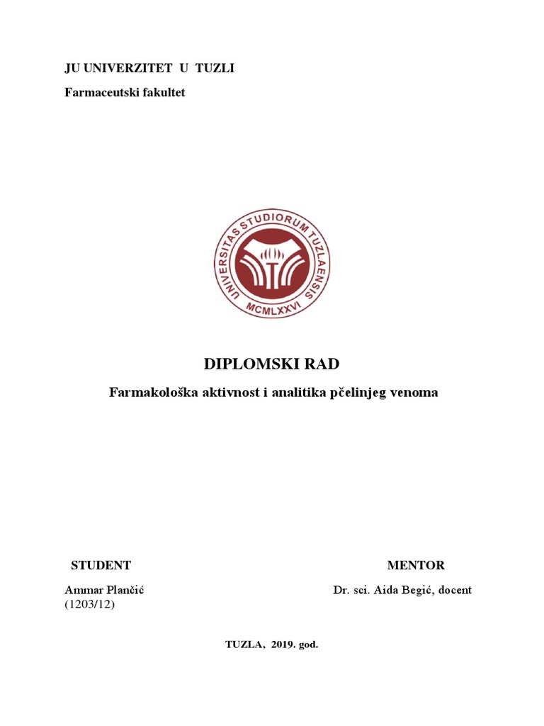 Plancic Ammar Diplomski Rad | PDF