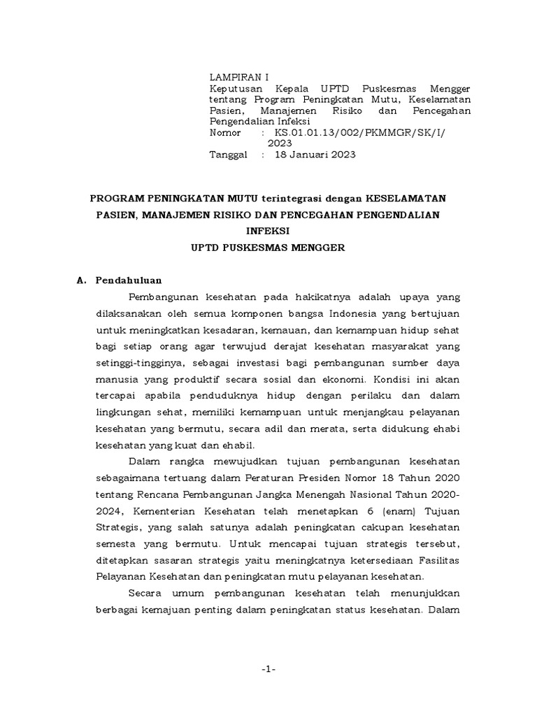 Program Peningkatan Mutu, Keselamatan Pasien, Manajemen Risiko Dan PPI | PDF