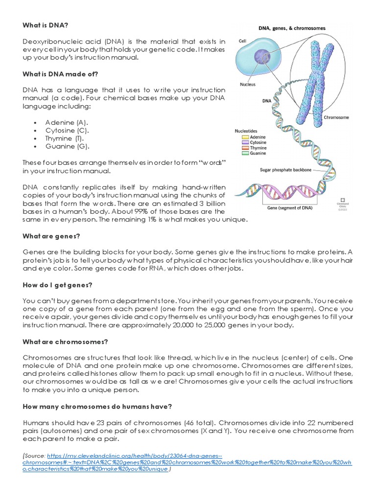 Articles - DNA, Chromosome & Genes | PDF | Dna | Gene