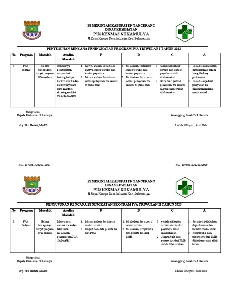 Pdca Iva | PDF