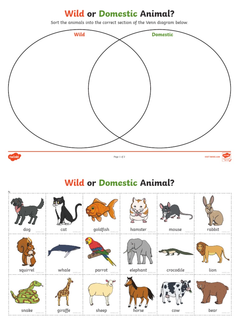 T SC 1651222660 Wild or Domestic Animal Sorting Activity - Ver - 1 | PDF
