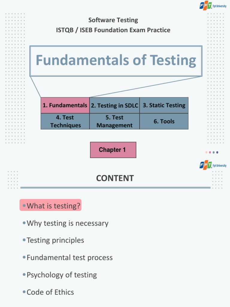 SWT1 Tim | PDF | Software Testing | Software Bug