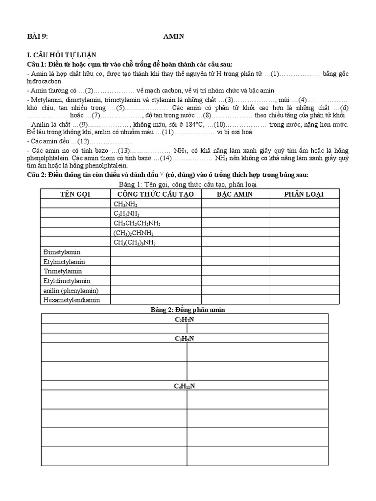 BÀI 9 - AMIN - ĐỀ BÀI | PDF