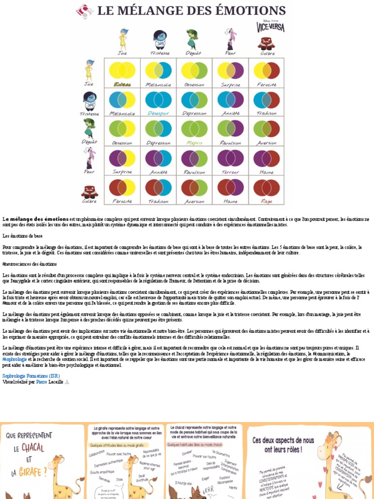 Mélange Des Émotions | PDF | Émotions | Cognition