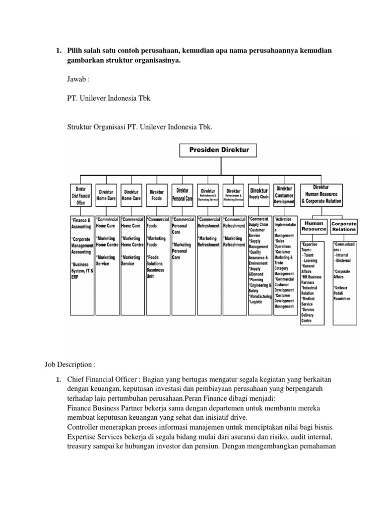 Tugas Struktur Organisasi Perusahaan - Ahmad Teguh Kurniawan - Usb6 - Mmrs | PDF | Bisnis