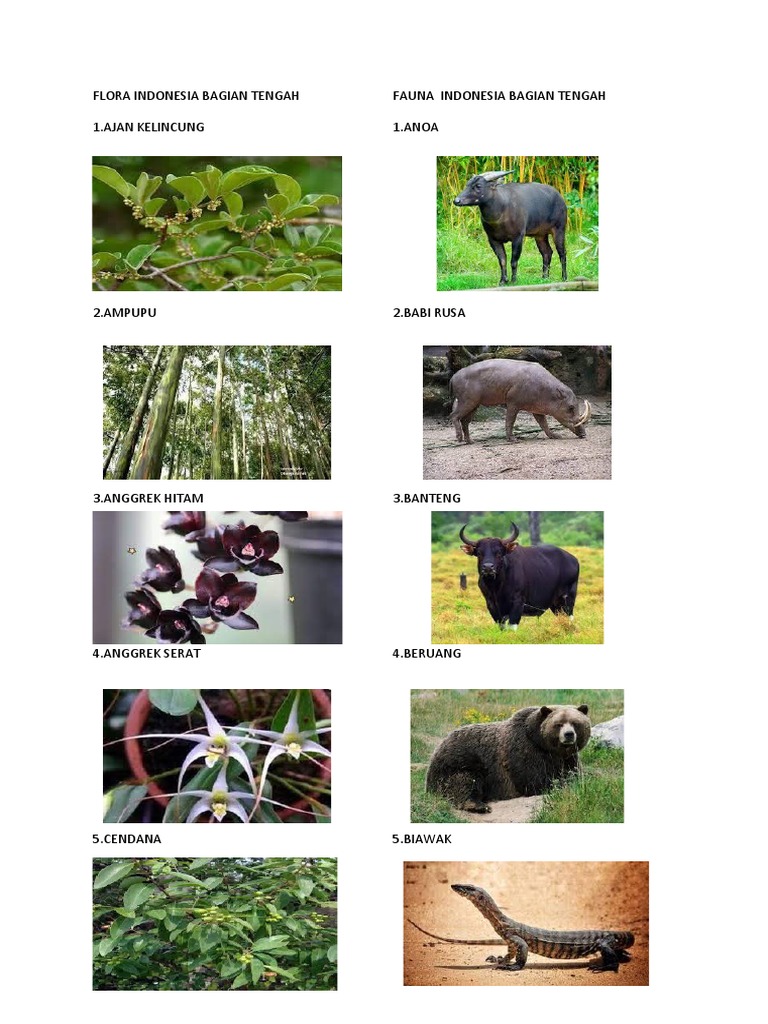 Flora dan Fauna Indonesia Tengah | PDF | Griya & Taman