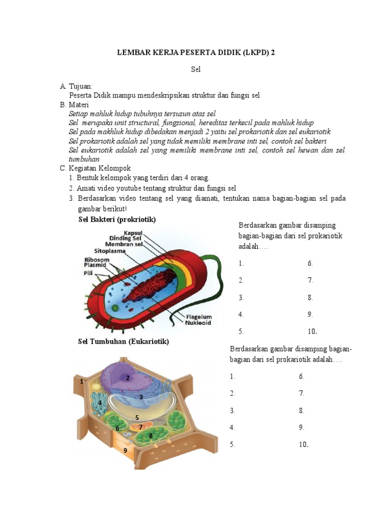 Struktur dan Fungsi Sel: LKPD 2 | PDF